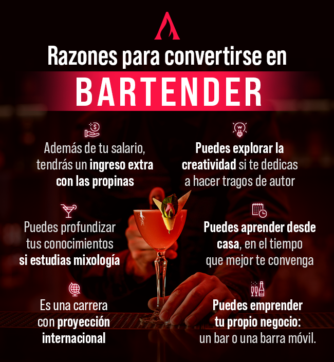 La organización de las botellas en un bar: claves para una distribución eficiente • TodoCóctel.com